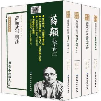 薛颠武学辑注全四册
