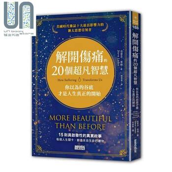 解开伤痛的20个超凡智慧 港台原版 史蒂芬.莱德 Steve Leder 三采文化 心灵成长
