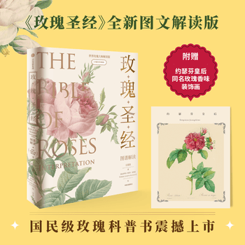 《玫瑰圣经》图谱解读 王国良等著 中信出版社 正版 新书
