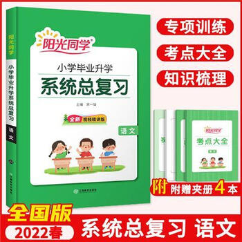 2022阳光同学小学毕业升学系统总复习语文知识梳理考点大全小升初 小学升初中 语文