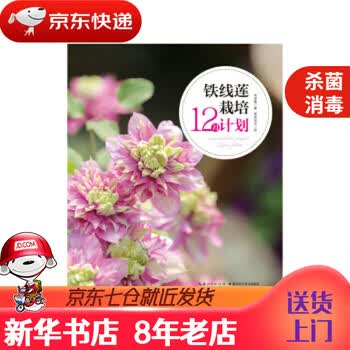 【新华书店 正版书籍】铁线莲栽培12月计划米米童著湖北科学技术出版社 正版图书绘本