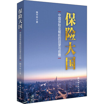 保险大国 魏华林 著 保险