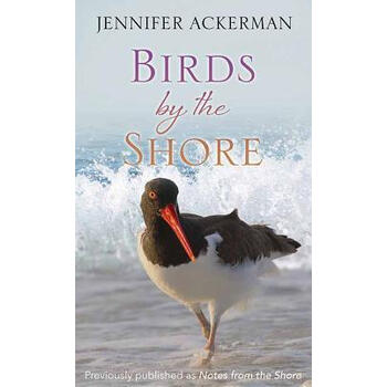 Birds by the Shore: Observing the Natural Life o