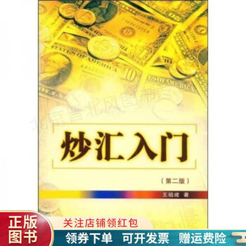 炒汇入门第2版