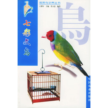 七彩文鸟
