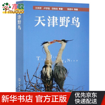 天津野鸟
