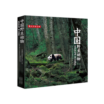 中国野生动物