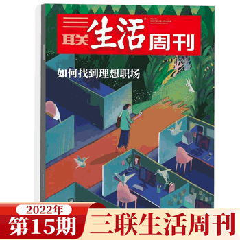 三联生活周刊杂志 2022年15期 如何找到理想职场