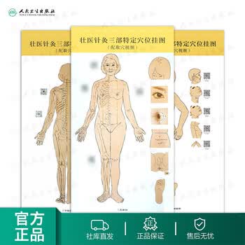 【现货】 壮医针灸三部特定穴位挂图 配取穴视频 黄瑾明 9787117287449 201