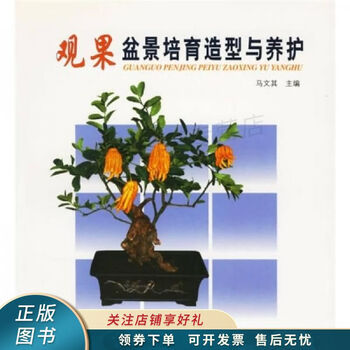 观果盆景培育造型与养护 马文其
