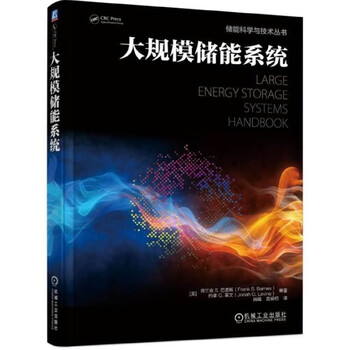大规模储能系统(精)/储能科学与技术丛书