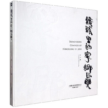 镜头里的宁乡巨变