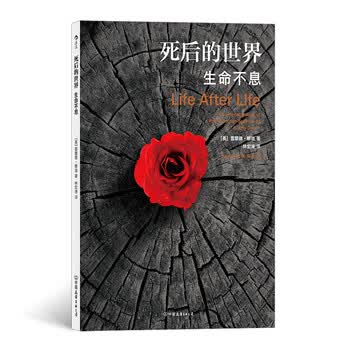 死后的世界(生命不息)