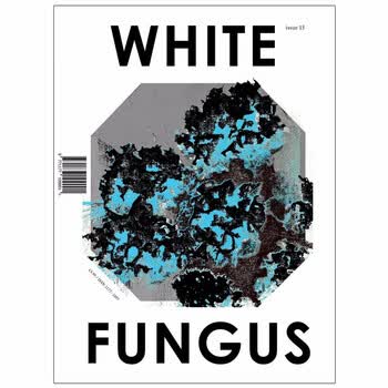 【包邮】【订阅】White Fungus银耳 前卫艺术杂志 台湾台中英文原版 年订1期
