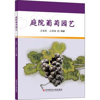 庭院葡萄园艺