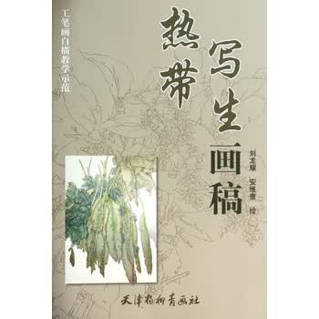 热带写生画稿(工笔画白描教学示范)