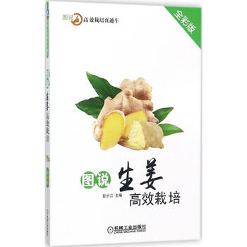 图说生姜高效栽培(全彩版)