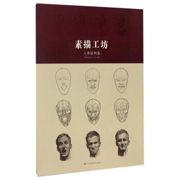 素描工坊(人体结构篇)