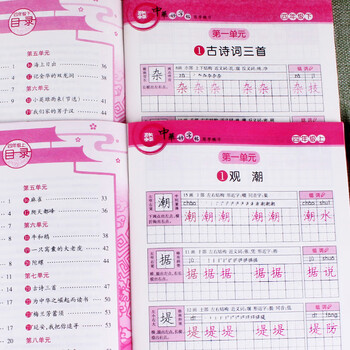 儿童临摹小学生四年级上册下册同步课堂中华好字帖人教版写字练习写好字练字本书法提升结构笔画词组描红本点