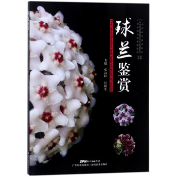 球兰鉴赏