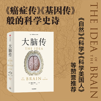 大脑传 马修·科布 著 科普