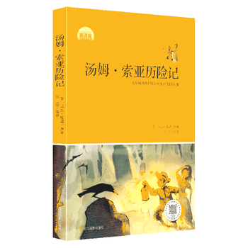 定制版 汤姆·索亚历险记