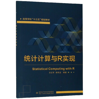 统计计算与R实现(高等学校十三五规划教材)