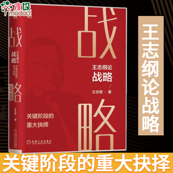 【正版包邮】王志纲论战略 关键阶段的重大抉择 王志纲