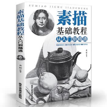 素描基础教程从入门到精通 绘画素描教程书入门自学零基础书籍 图文并茂学画画的基础素描几何体
