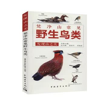 发现山之美,梵净山常见野生鸟类