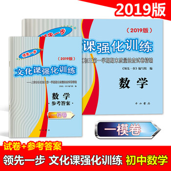 正版2019版领先一步文化课强化训练 中考数学 一模试卷+参考答案 上海中考一模卷各区县中考精编