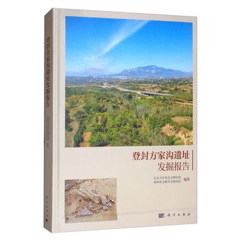 登封方家沟遗址发掘报告