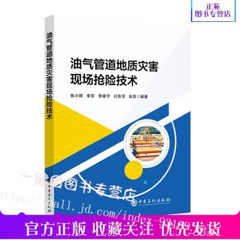 油气管道地质灾害现场抢险技术 现场调查识别及风险评价的技术要点评价方法 智能化管线系统应急抢修作业油