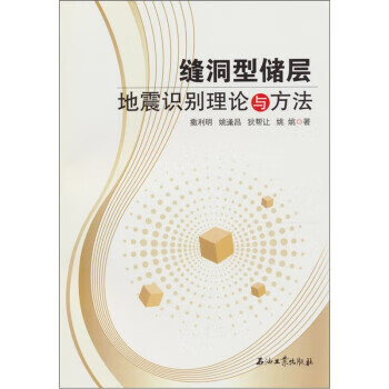 缝洞型储层地震识别理论与方法 撒利明 等