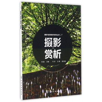 摄影赏析/摄影与影视制作系列丛书