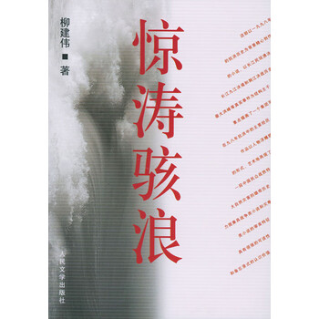 惊涛骇浪 柳建伟 人民文学出版社