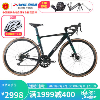 喜德盛（xds）2023年新款AD300破风公路自行车铝合金车架拉线油刹18速赛车单车 AD300 翠绿/玫瑰金 480mm【图片 价格 品牌 报价】-京东