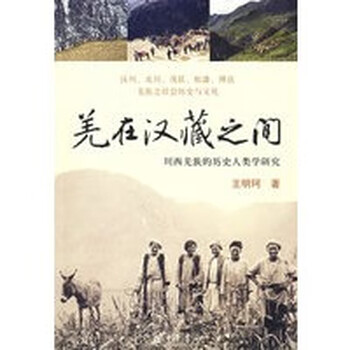 羌在汉藏之间,王明珂,中华书局9787101061673