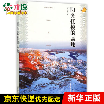 阳光抚摸的高地/美丽新疆丛书