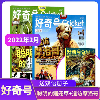 【单期订阅】现货包邮 好奇号杂志 2022年1月/2/3/4/5/6月期数自选 Cricket Media版权合作 杂志铺正版 好奇号2022年2月 造访摩洛哥