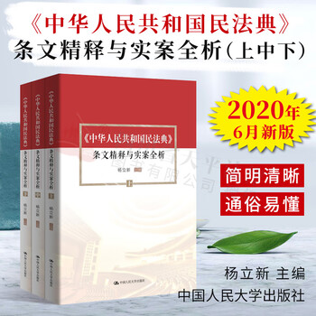 中华人民共和国民法典条文精释与实案全析（上中下册）杨立新 民法典解读案例解析