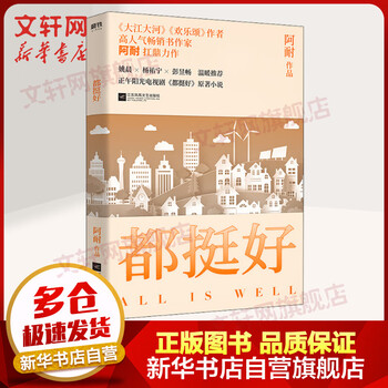 都挺好原著小说 大江大河作者阿耐