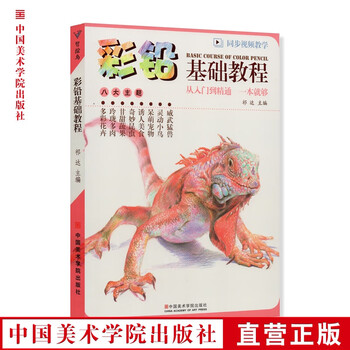 《彩铅基础教程》定价:55 祁达 主编 基础绘画技巧 中国美术学院 正版品牌直销 满58包邮