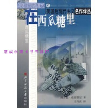 在西瓜糖里 美国后现代主义名作译品 唐纳德巴塞尔姆