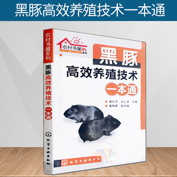 黑豚高效养殖技术一本通黑豚鼠养殖技术与疾病防治技术大全书荷兰猪饲养技术宝典黑豚饲养饲料配置与建厂安