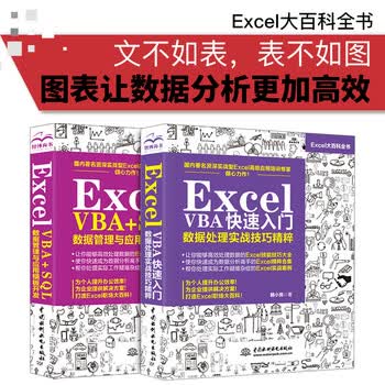 【2本】vba书籍Excel VBA+SQL 数据管理与应用模板开发excelvba教程 Excel