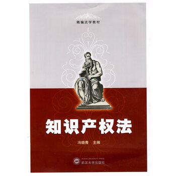 知识产权法 冯晓青 武汉大学出版社