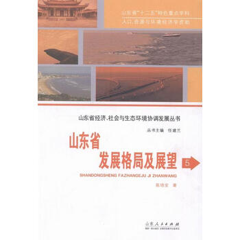 山东省发展格局及展望 体育/运动 陈培安著 山东人民出版社