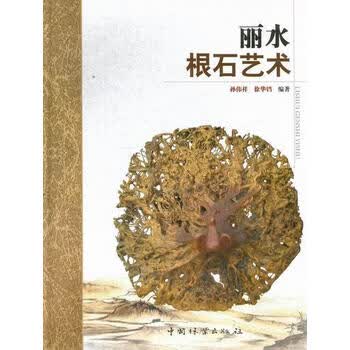 丽水根石艺术 孙伟祥 艺术 9787503868115