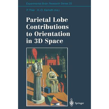 Parietal Lobe Contributions to Orientation in 3